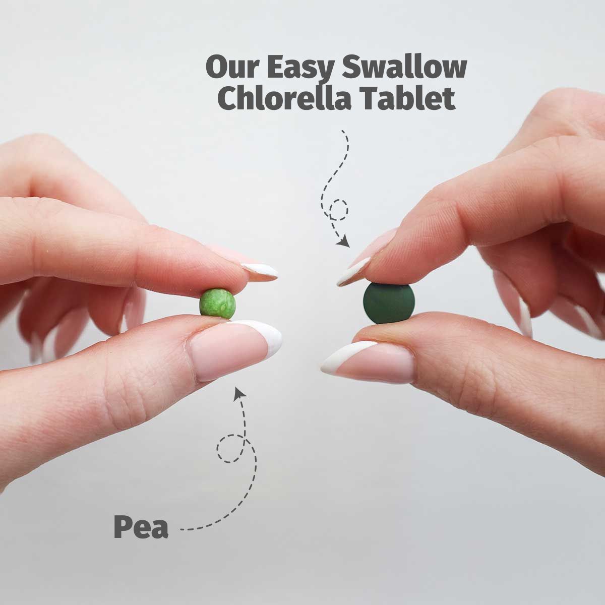 Chlorella by Organic Burst® - Tablets & Powder